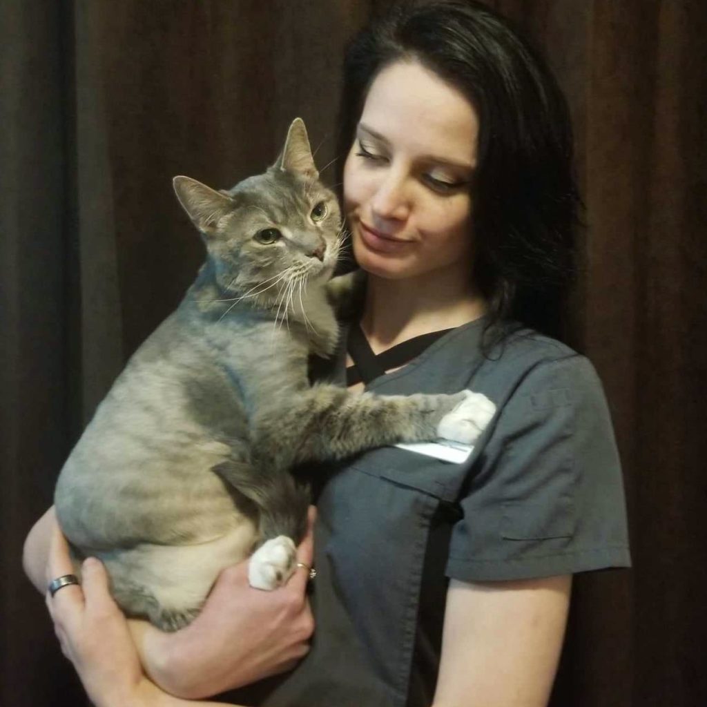 Victoria | Yonge-Davenport Pet Hospital, Toronto, Ontario