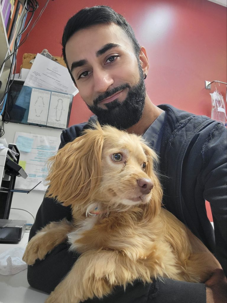 Humza | Yonge-Davenport Pet Hospital, Toronto, Ontario
